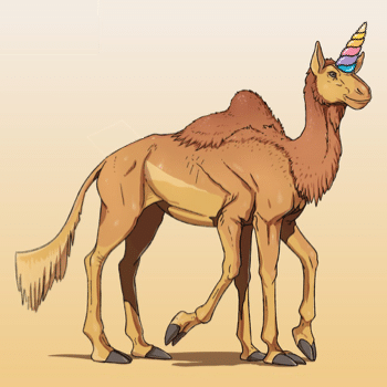 Is Camel the New Unicorn?